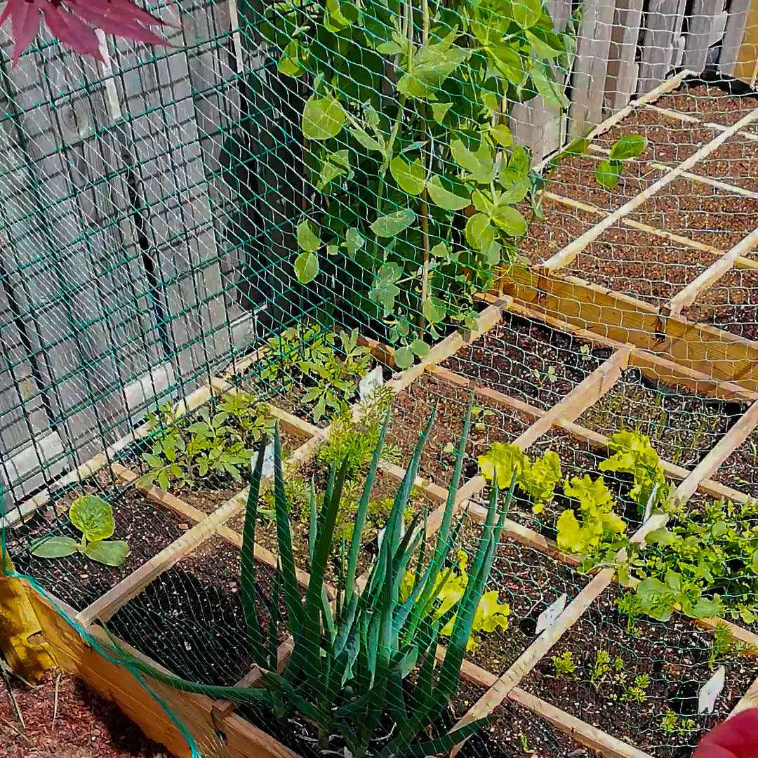 Square foot Gardening Spacing Guide – The Farm Dream