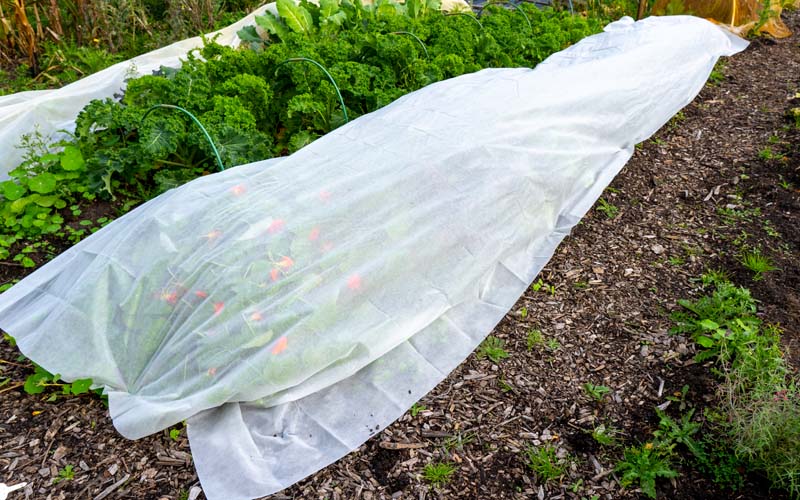 Garden Covers: Frost Protection and Insect Mesh - The Farm Dream