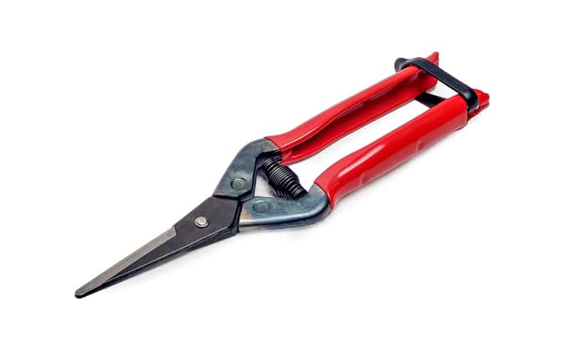 Precision pruning shears - Japanese carbon steel – The Farm Dream