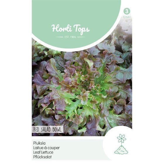 Red Oak Leaf Lettuce Seeds - Vibrant, Flavorful, Perfect for Summer ...