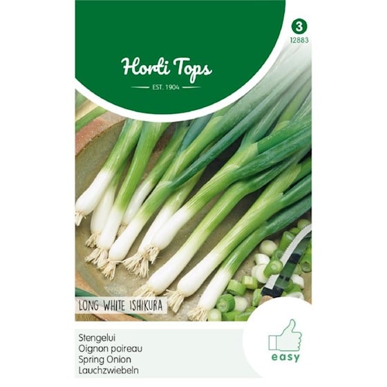 Buy Long White Ishikura Spring Onion Seeds - Ideal Salads and Cooking ...