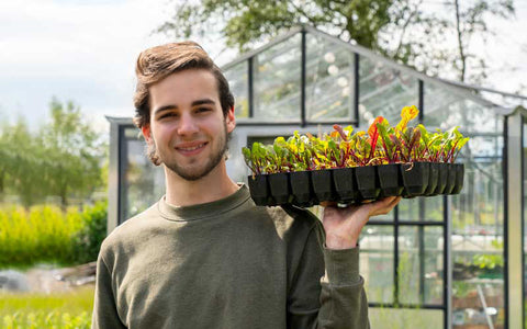 De beste kweektrays verkrijgbaar in Europa - The Farm Dream