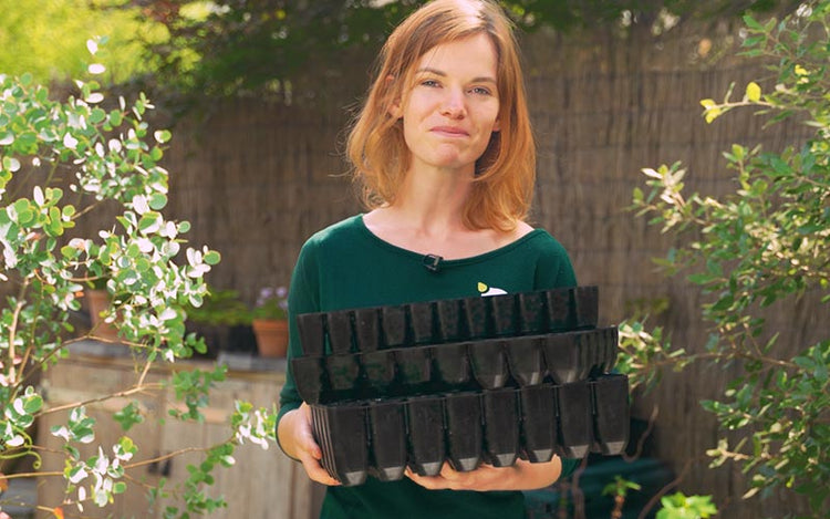Essentiële zaaitrays voor bloemen – The Farm Dream