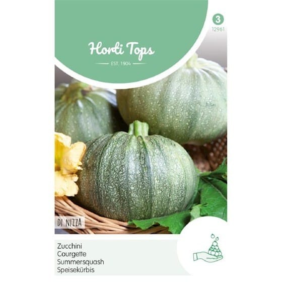 Grow bulb courgette Di Nizza: High Yield, Versatile Summer Squash – The ...